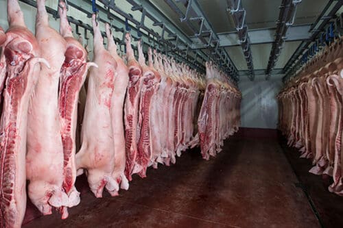Cold Storage Warehouses: The Ultimate Guide - Conger Industries Inc ...
