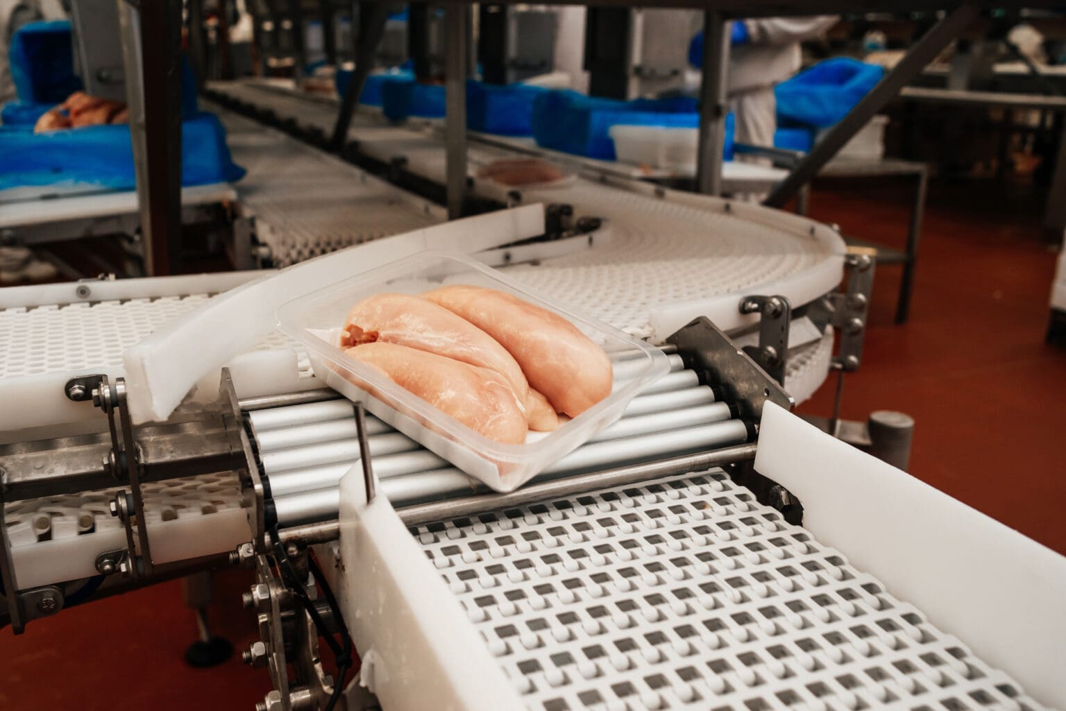 What is a Conveyor? A Guide to Streamlining Operations - Conger ...